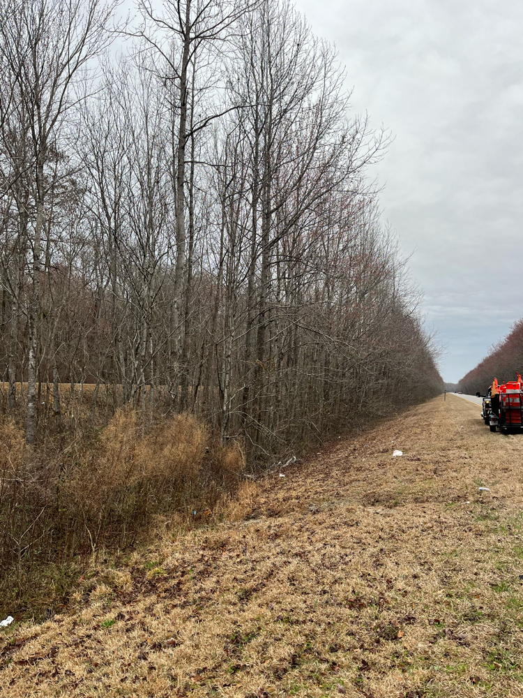 Mechanical Cutting Services - Opterra Solutions