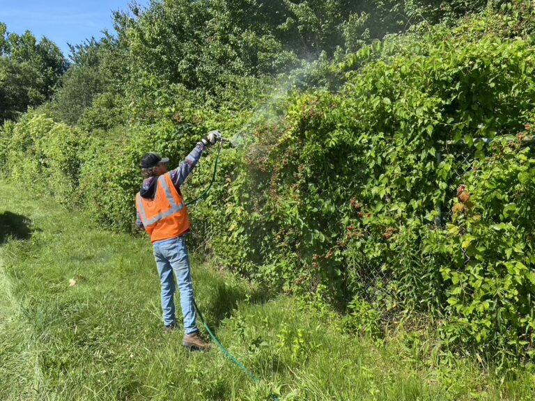 Why Schools & Campuses Need Proactive Vegetation Management - Opterra ...